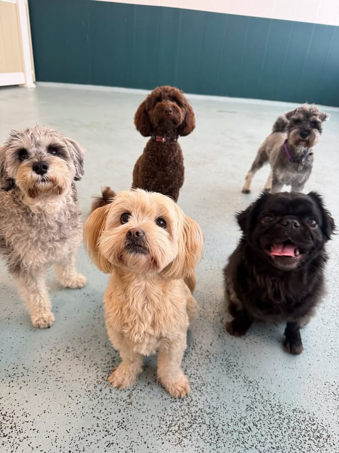 Find My Nearest Kip Location – Kip Australia