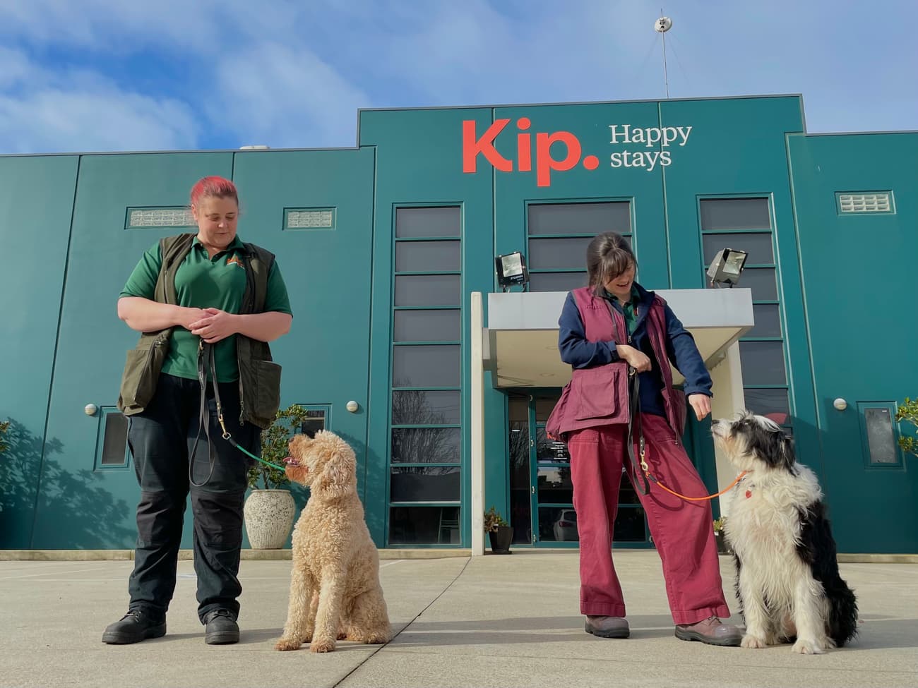 Dog Training | Book Dog & Puppy Behaviour Training Australia