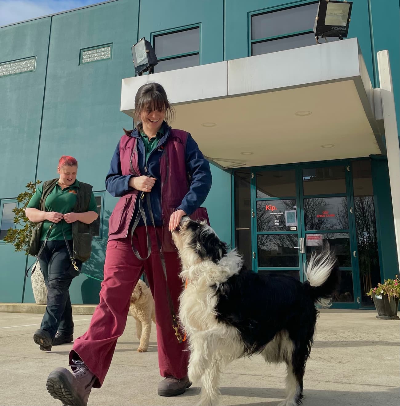 Dog Training | Book Dog & Puppy Behaviour Training Australia