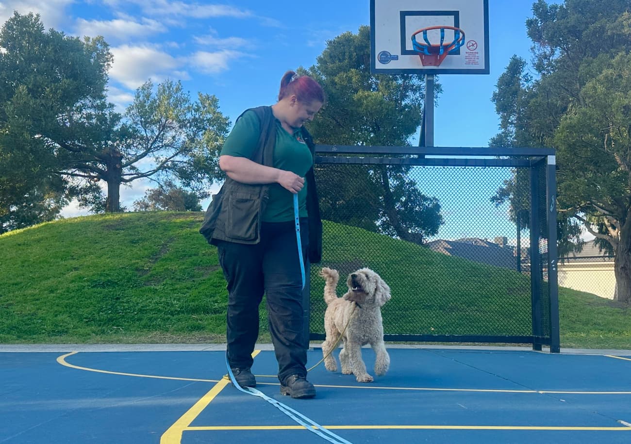 Dog Training | Book Dog & Puppy Behaviour Training Australia