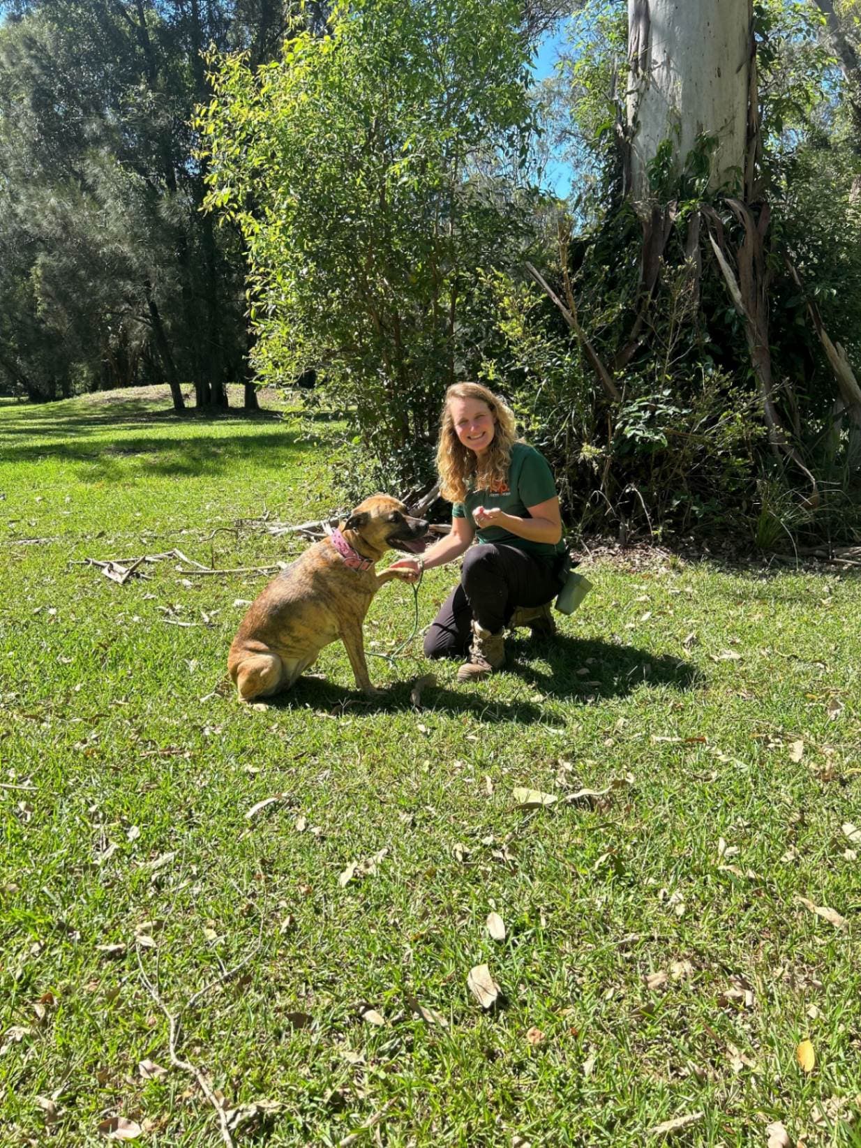 Dog Boarding & Training Program | Kip Board & Train