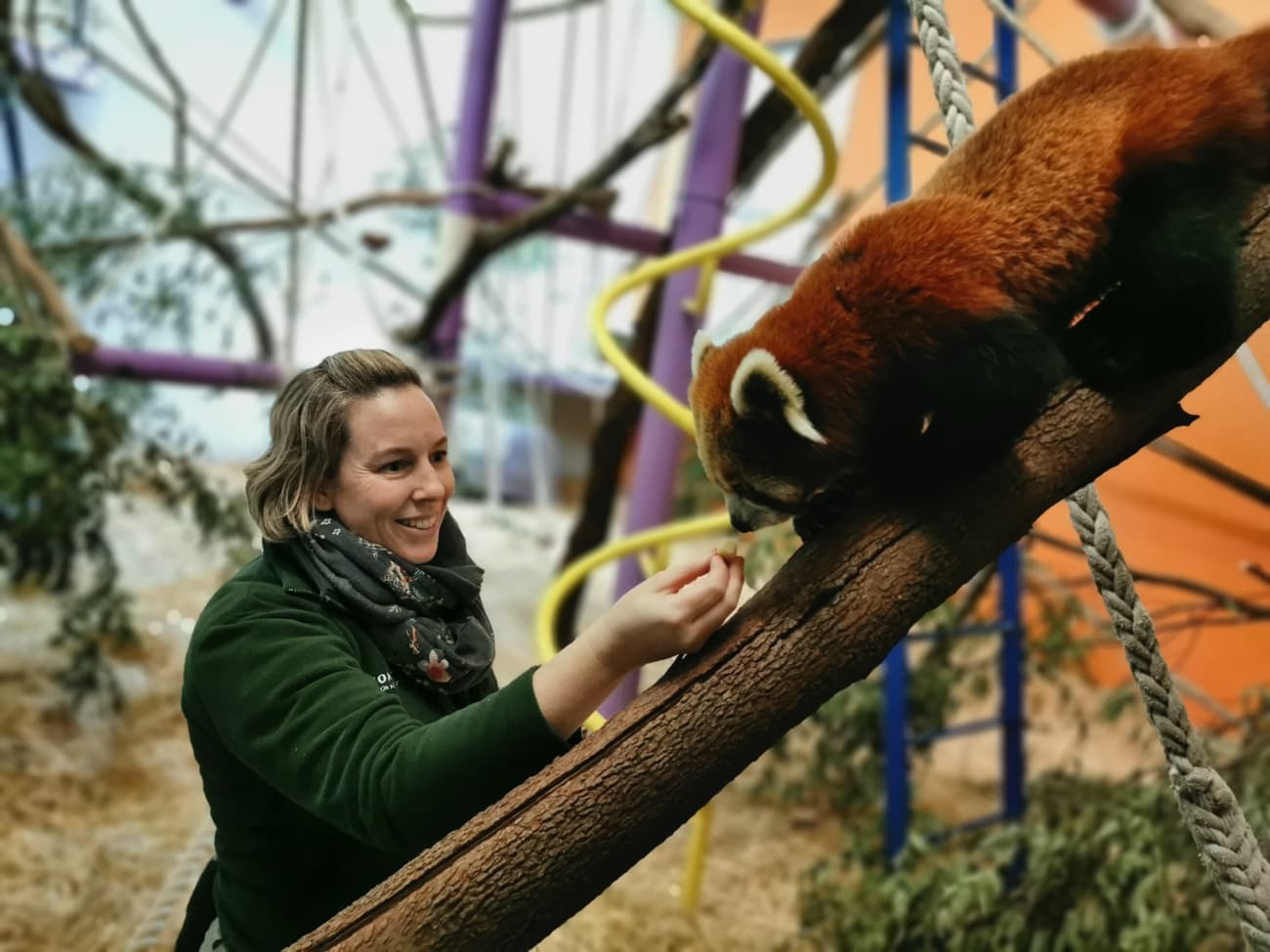 Kip Dog Boarding Canberra | Premier Dog Boarding Services