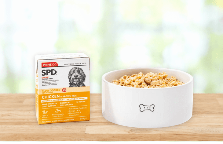 Dog Boarding & Pet Services in Brisbane | Kip Brisbane Location