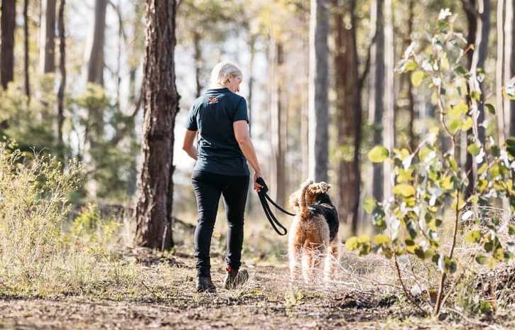 Kip Dog Boarding Canberra | Premier Dog Boarding Services