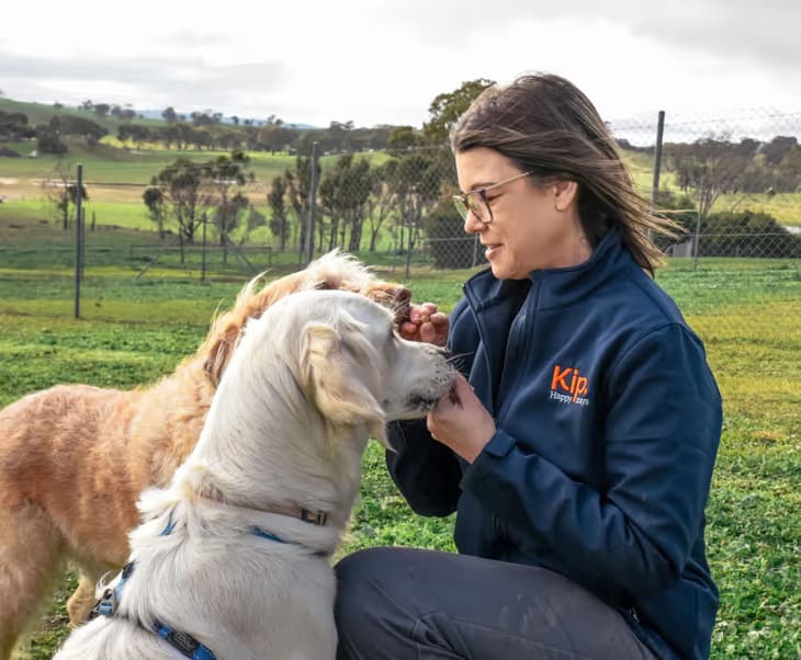 Dog Boarding Melbourne | Quality Pet Care & Services | Kip
