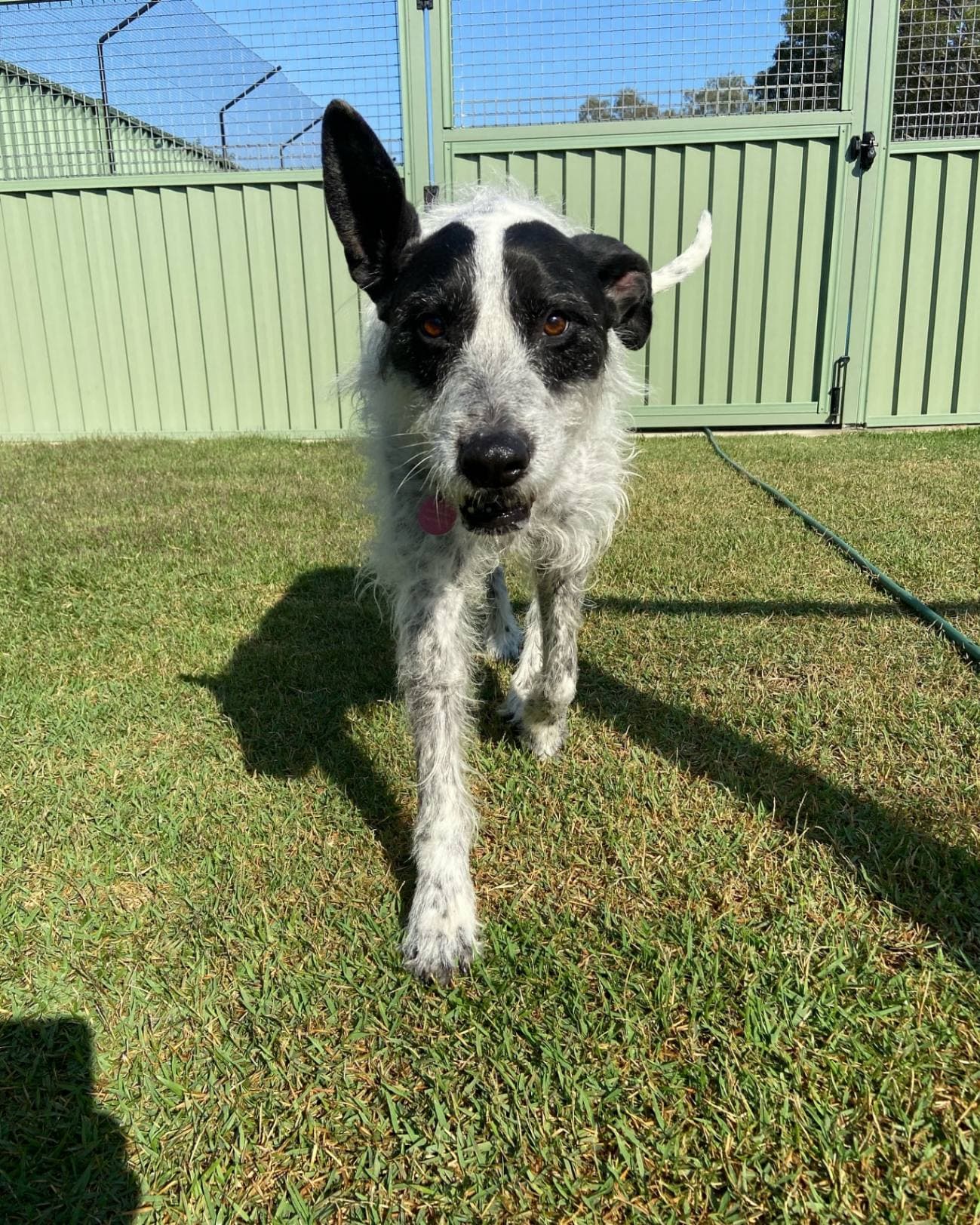 Find My Nearest Kip Location – Kip Australia