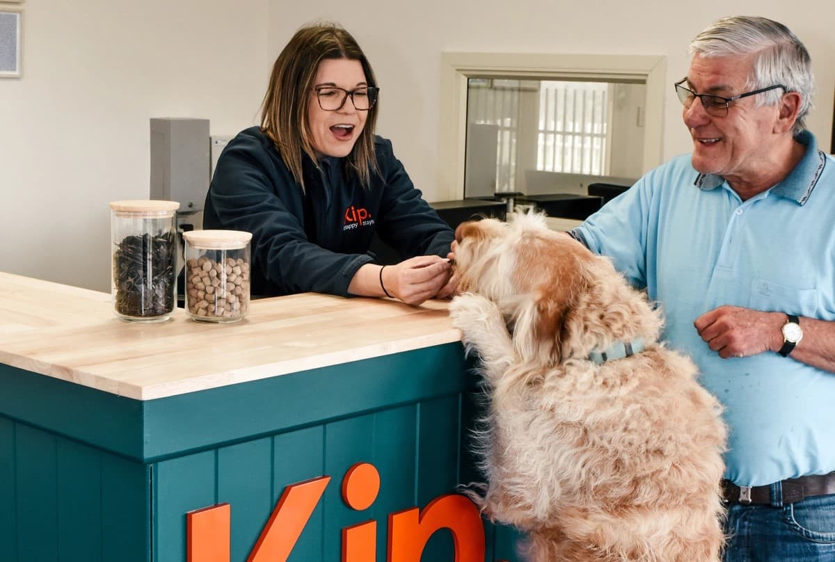 About Us - The Story of Kip | Kip Happy Stays